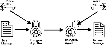 Symmetric Key and Public Key Cryptography